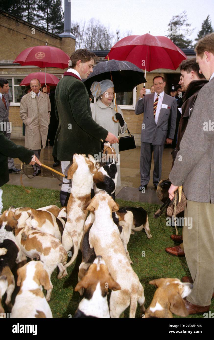 The Queen with a pack of hunting hounds at a wildlife trust in ...