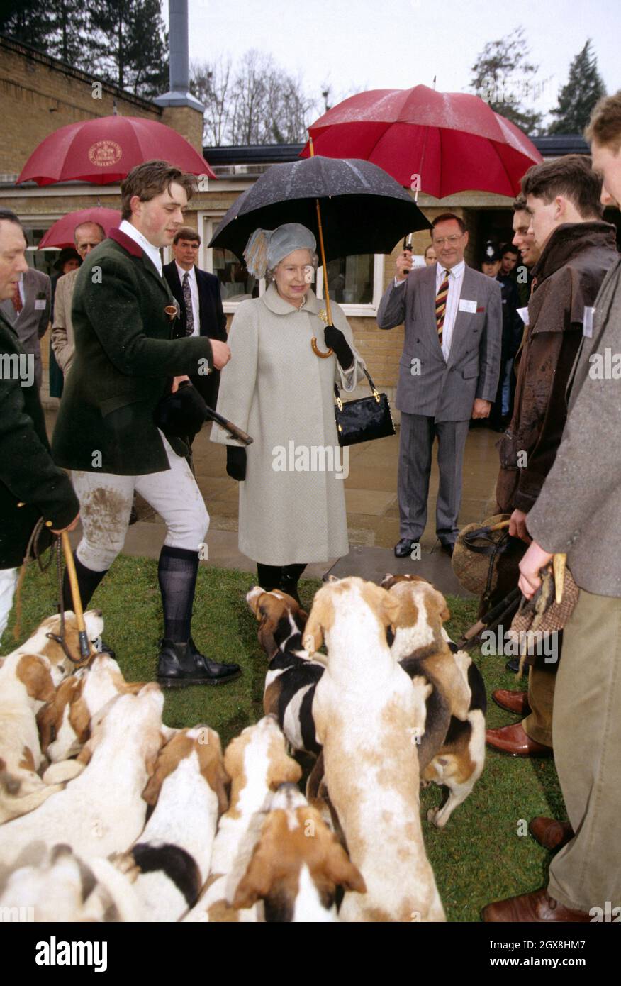 The Queen with a pack of hunting hounds at a wildlife trust in ...