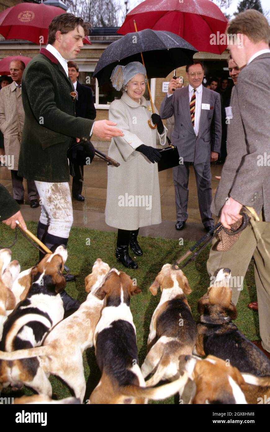 The Queen with a pack of hunting hounds at a wildlife trust in ...