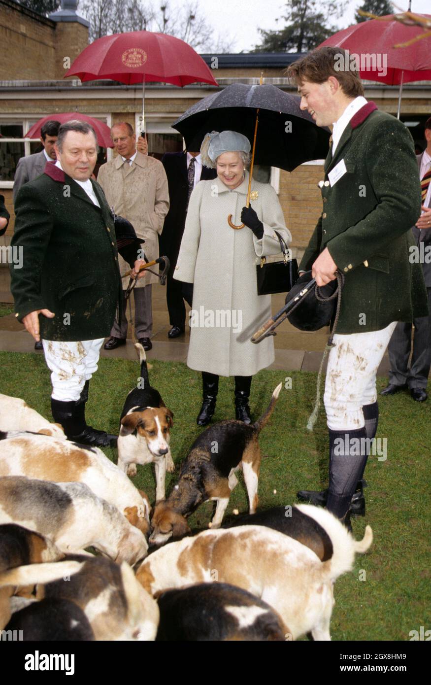 The Queen with a pack of hunting hounds at a wildlife trust in ...