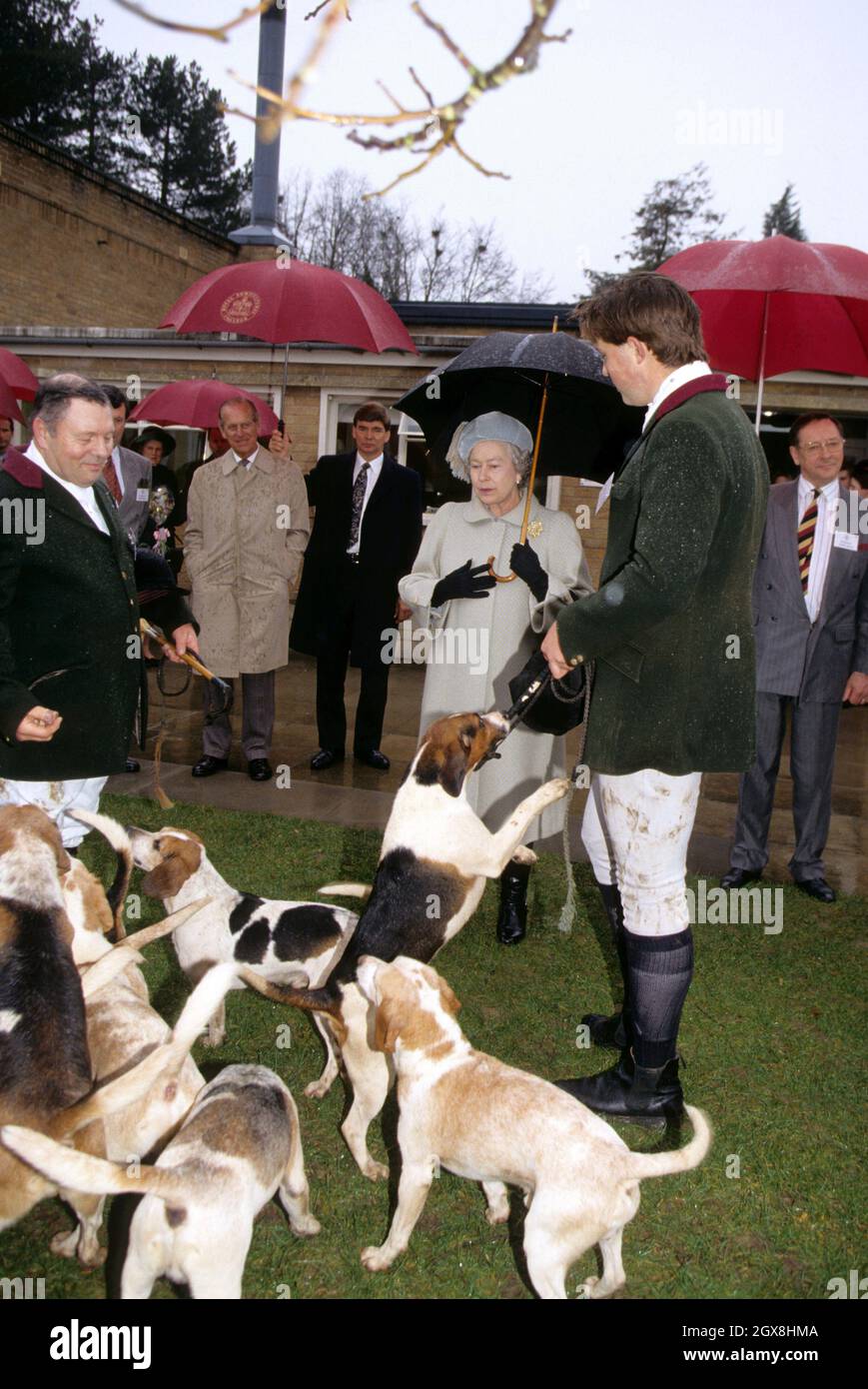 The Queen with a pack of hunting hounds at a wildlife trust in ...