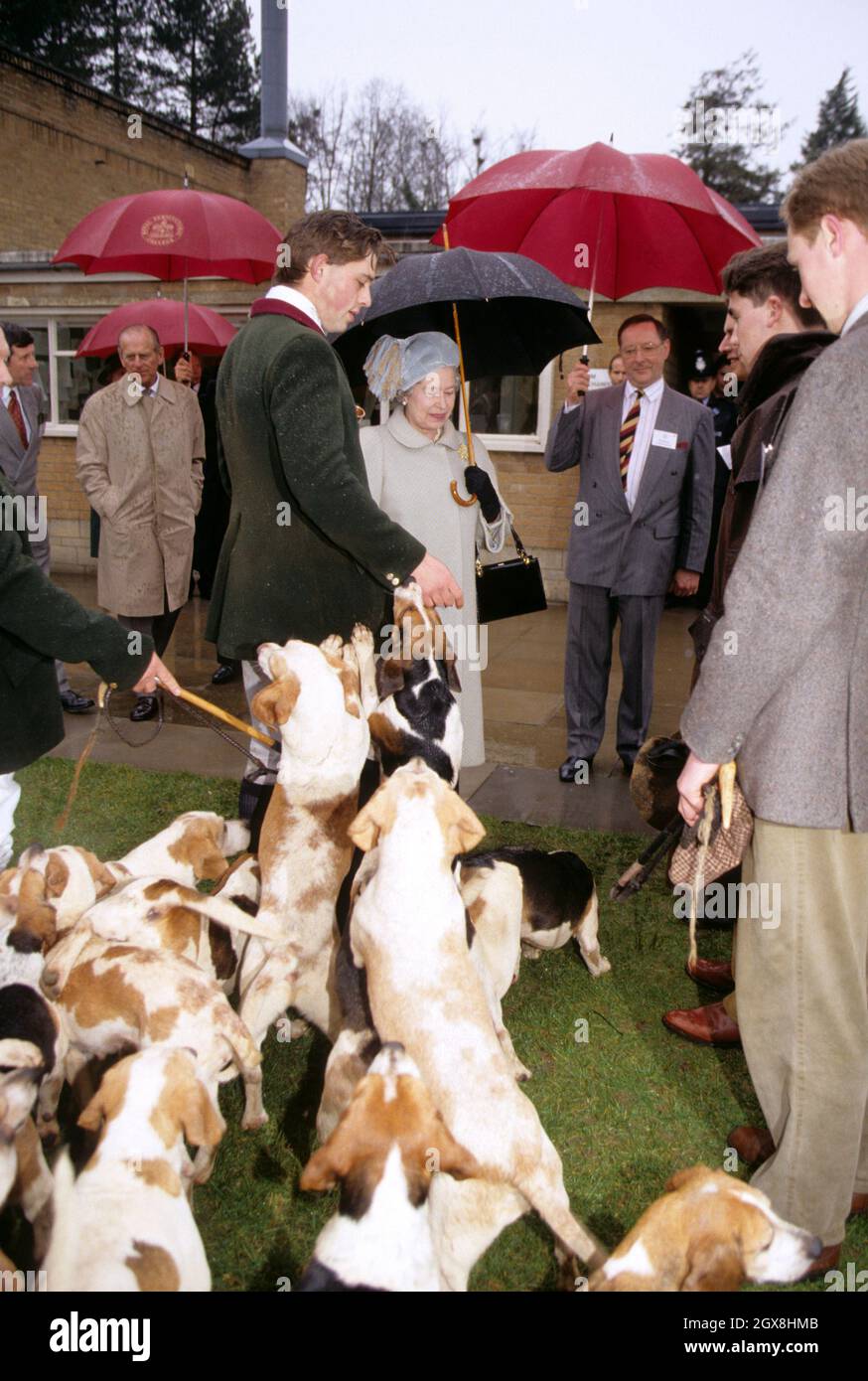 The Queen with a pack of hunting hounds at a wildlife trust in ...