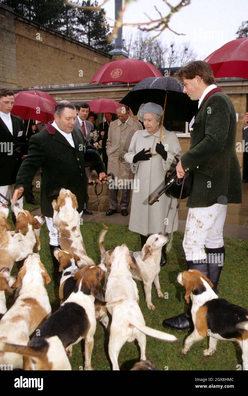 The Queen with a pack of hunting hounds at a wildlife trust in ...