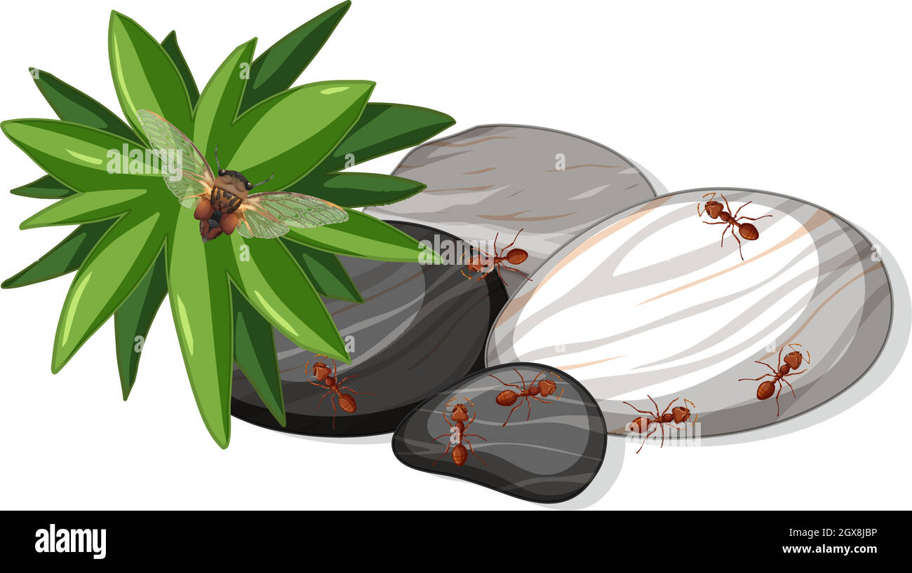 Top view little Cut Out Stock Images & Pictures - Alamy