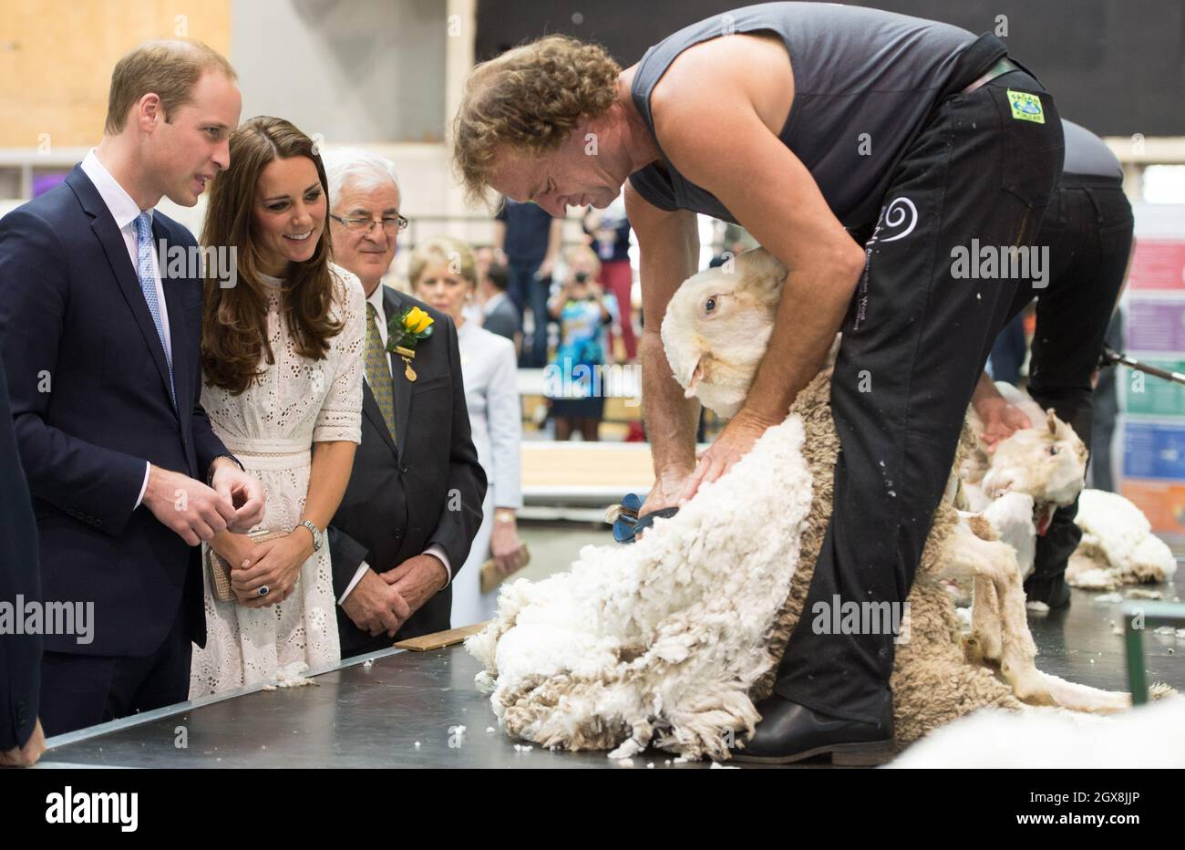 Cambridge sheep hi-res stock photography and images - Alamy