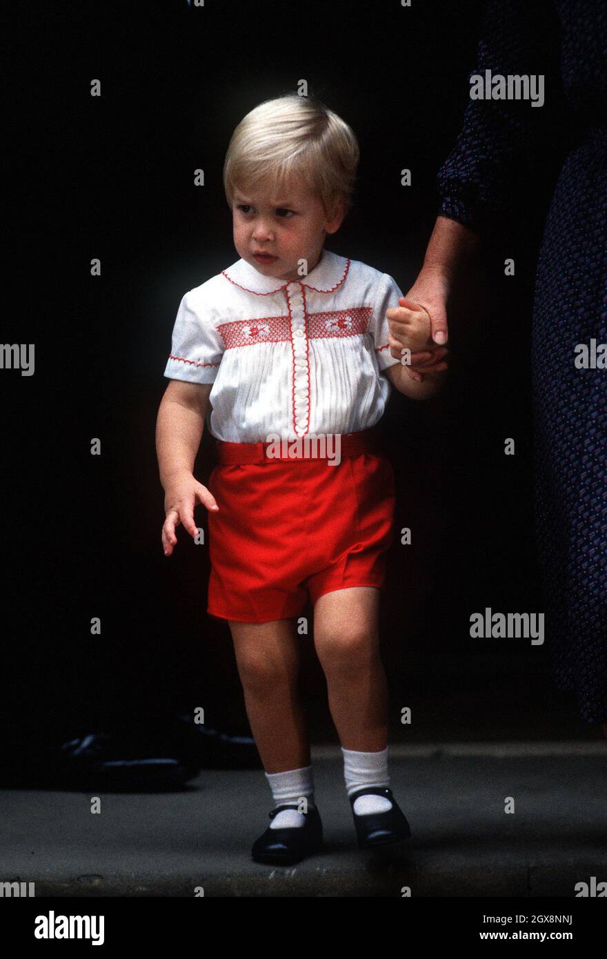Prince william prince harry nanny barbara barnes hi-res stock ...