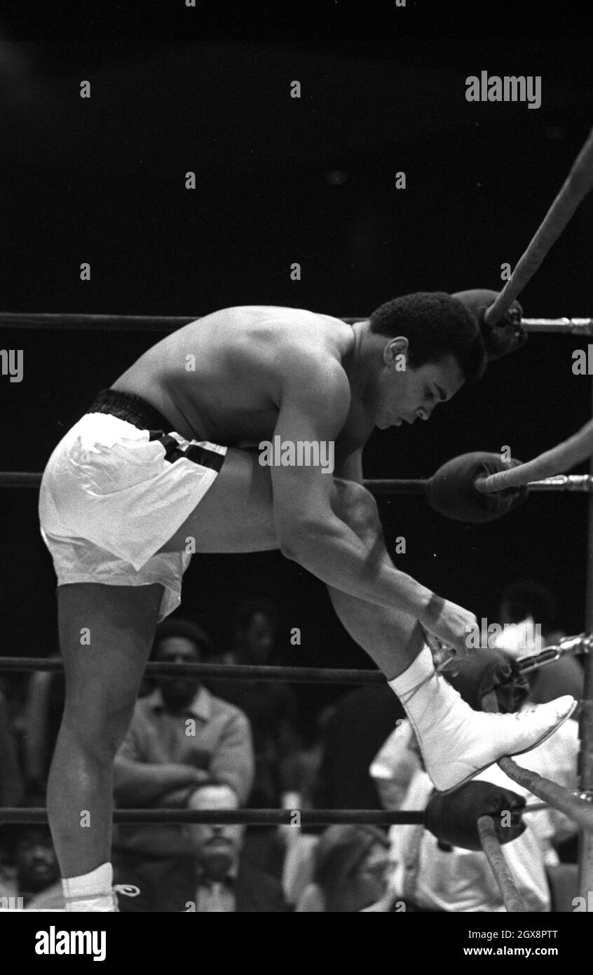 Heavyweight boxer Muhammad Ali trains for his fight against Oscar ...
