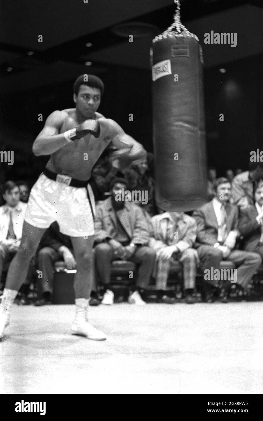 Heavyweight boxer Muhammad Ali trains for his fight against Oscar ...