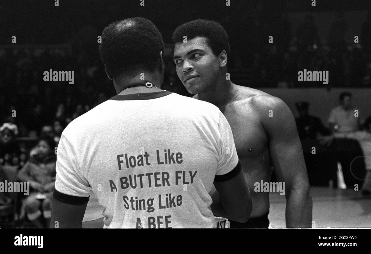 Heavyweight boxer Muhammad Ali trains for his fight against Oscar ...
