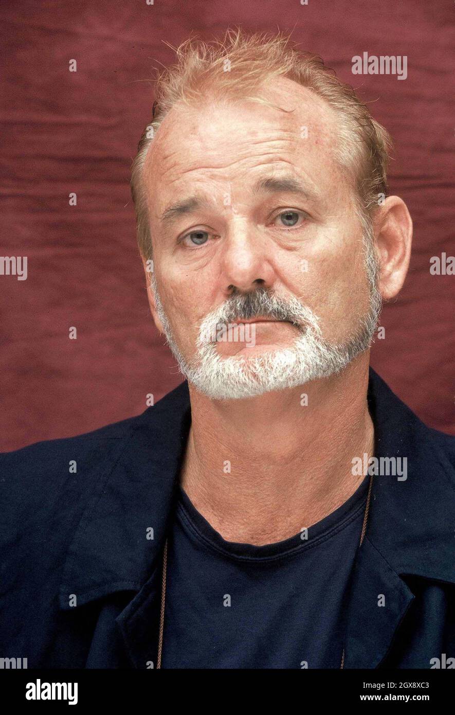 BILL MURRAY poses for a studio shot Stock Photo - Alamy