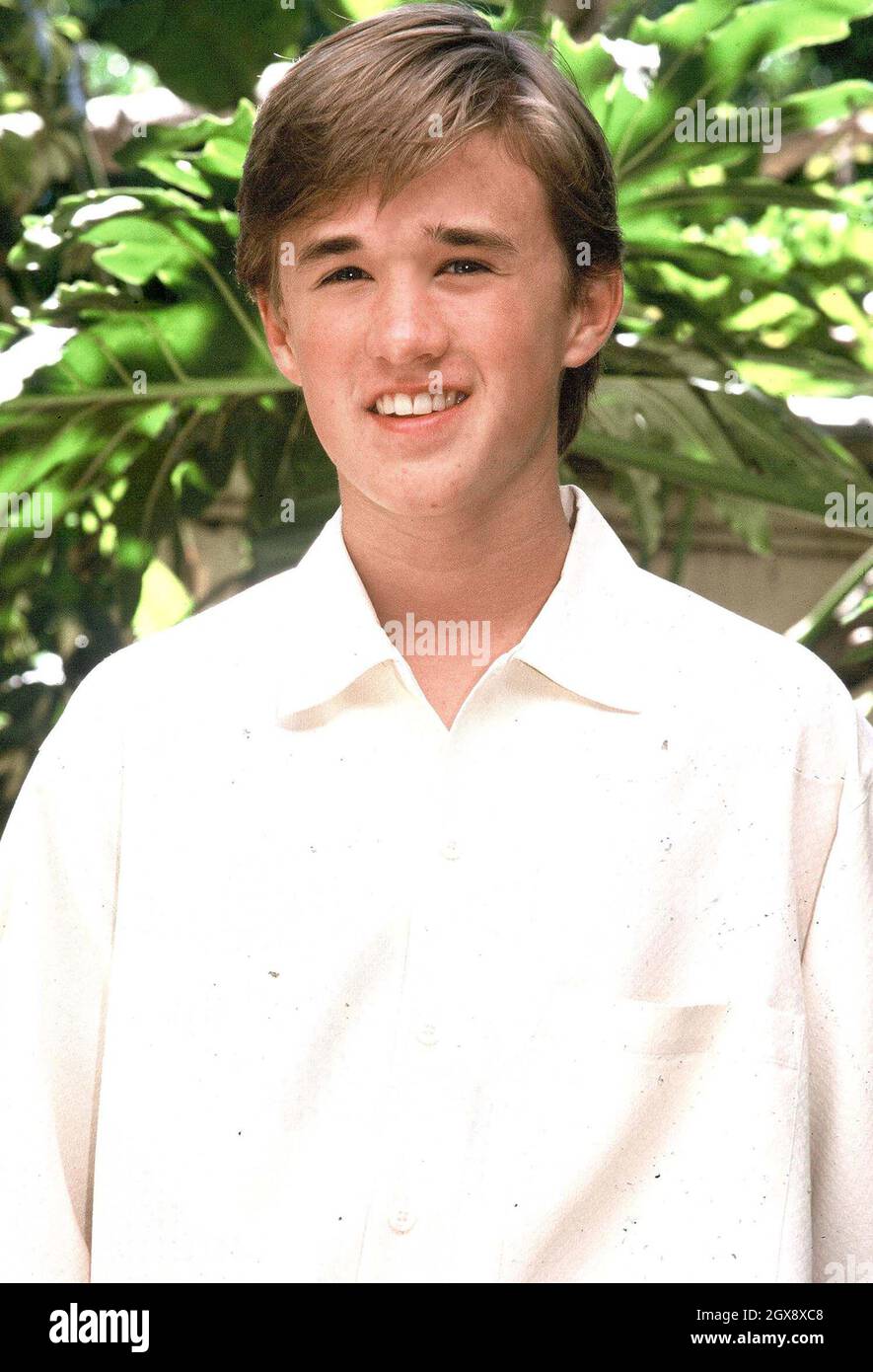 HALEY JOEL OSMENT poses for a studio shot Stock Photo - Alamy