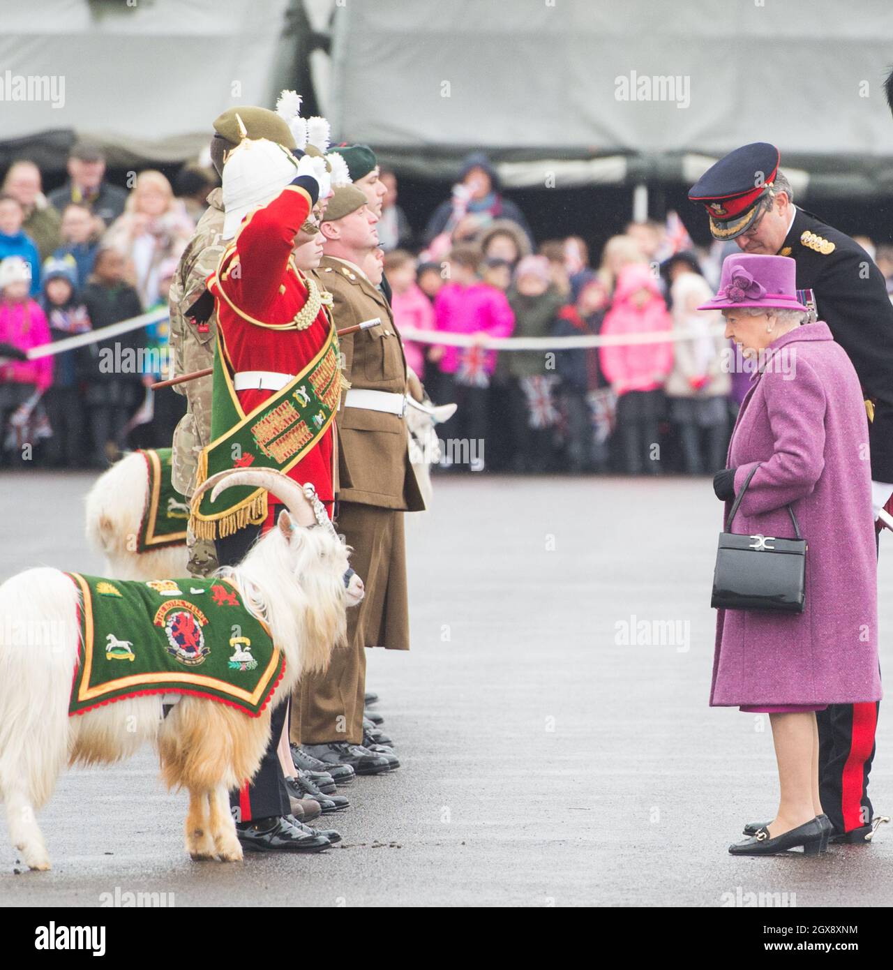 Queen Elizabeth ll admires the regimental goat as she attends a review ...