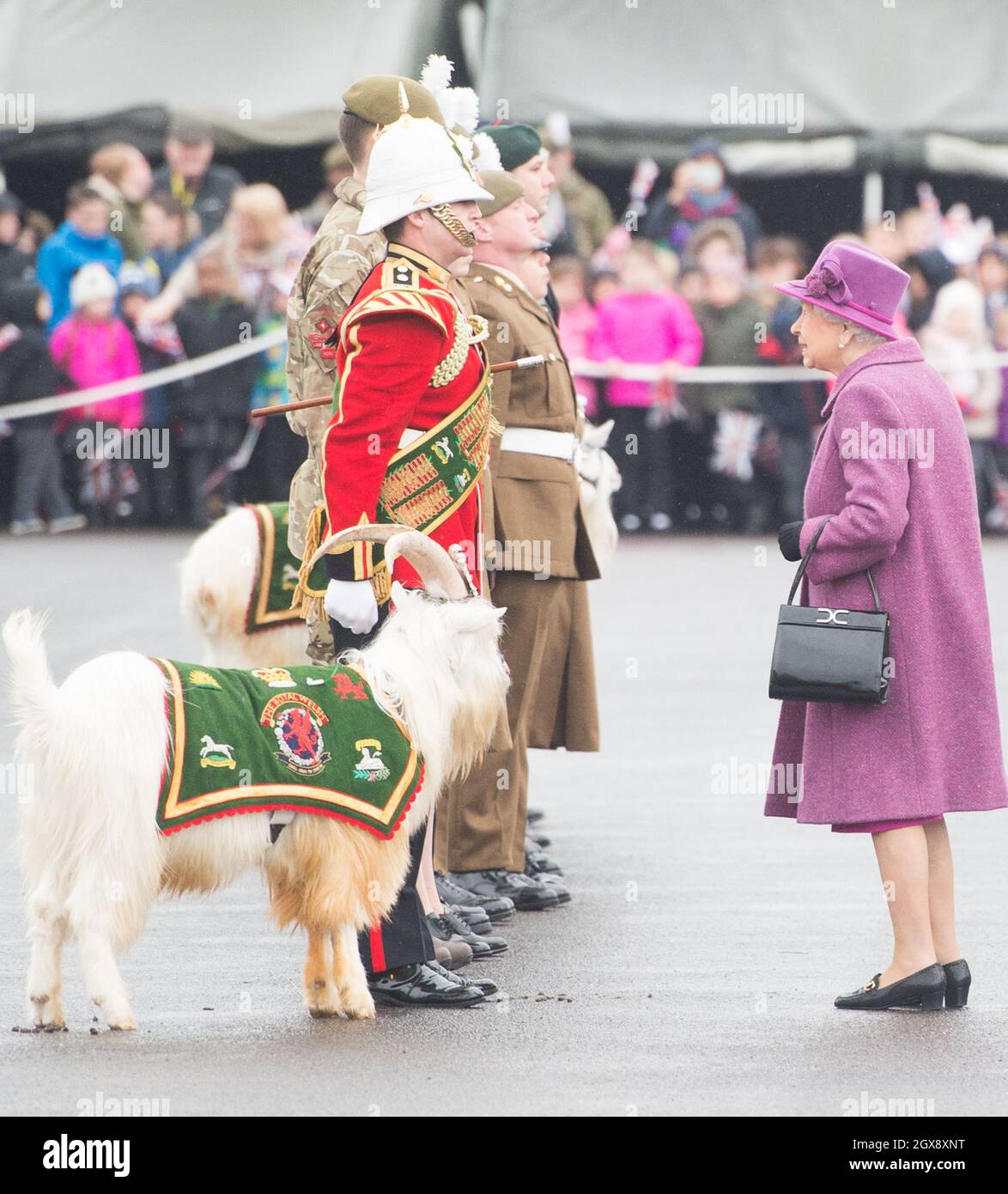 Queen Elizabeth ll admires the regimental goat as she attends a review ...