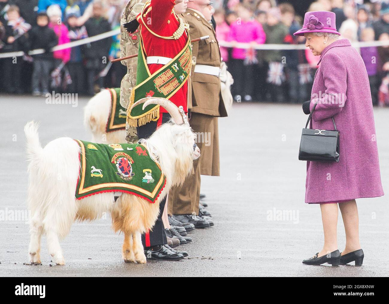 Queen Elizabeth ll admires the regimental goat as she attends a review ...