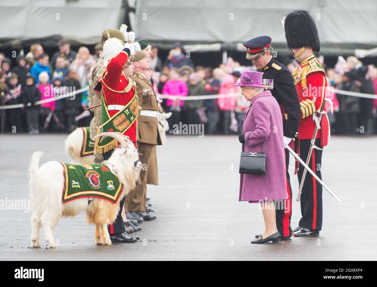 Queen Elizabeth ll admires the regimental goat as she attends a review ...