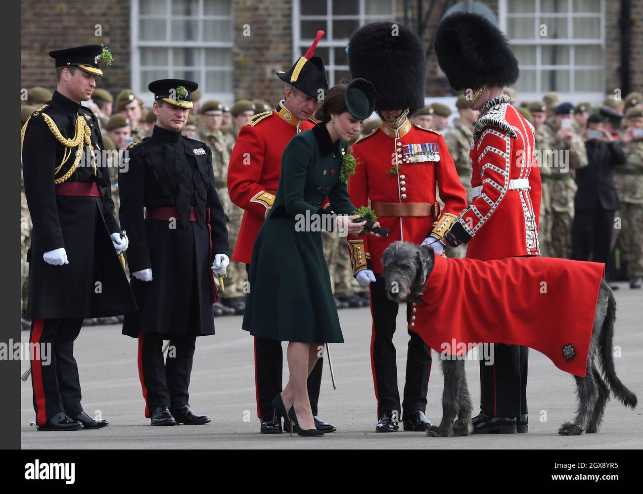 Catherine, Duchess of Cambridge presents a shamrock to regimental mascot, the Irish wolfhound ...