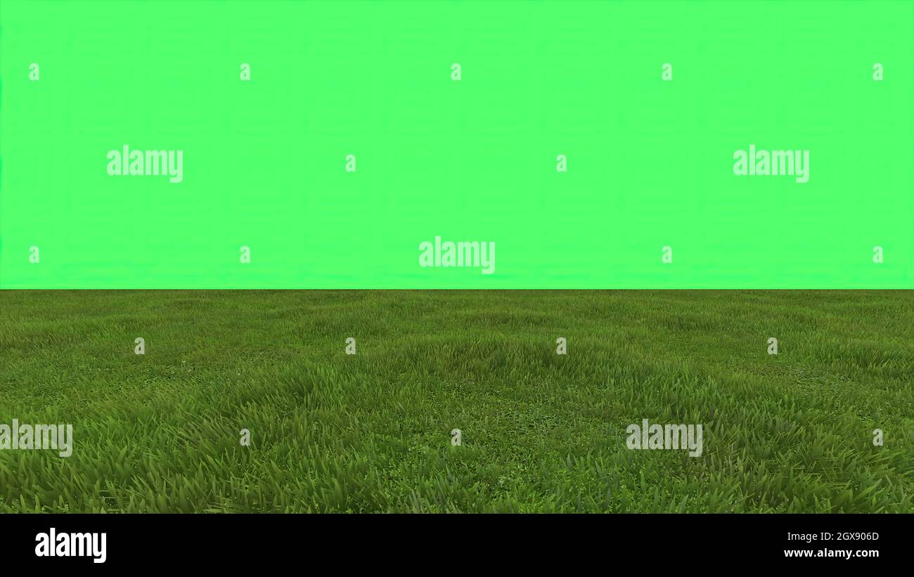 3d illustration - green field on green screen in background Stock Photo ...