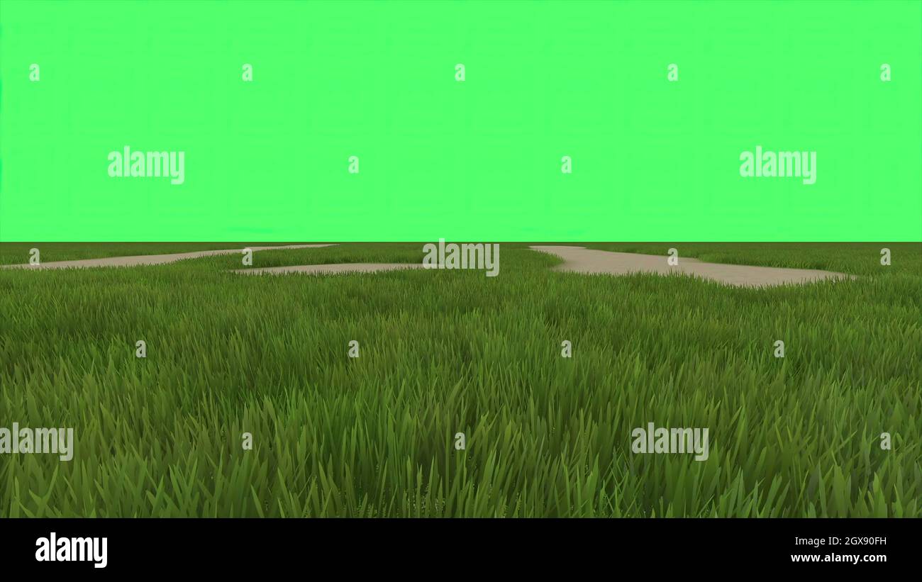 3d illustration - green field on green screen in background Stock Photo ...