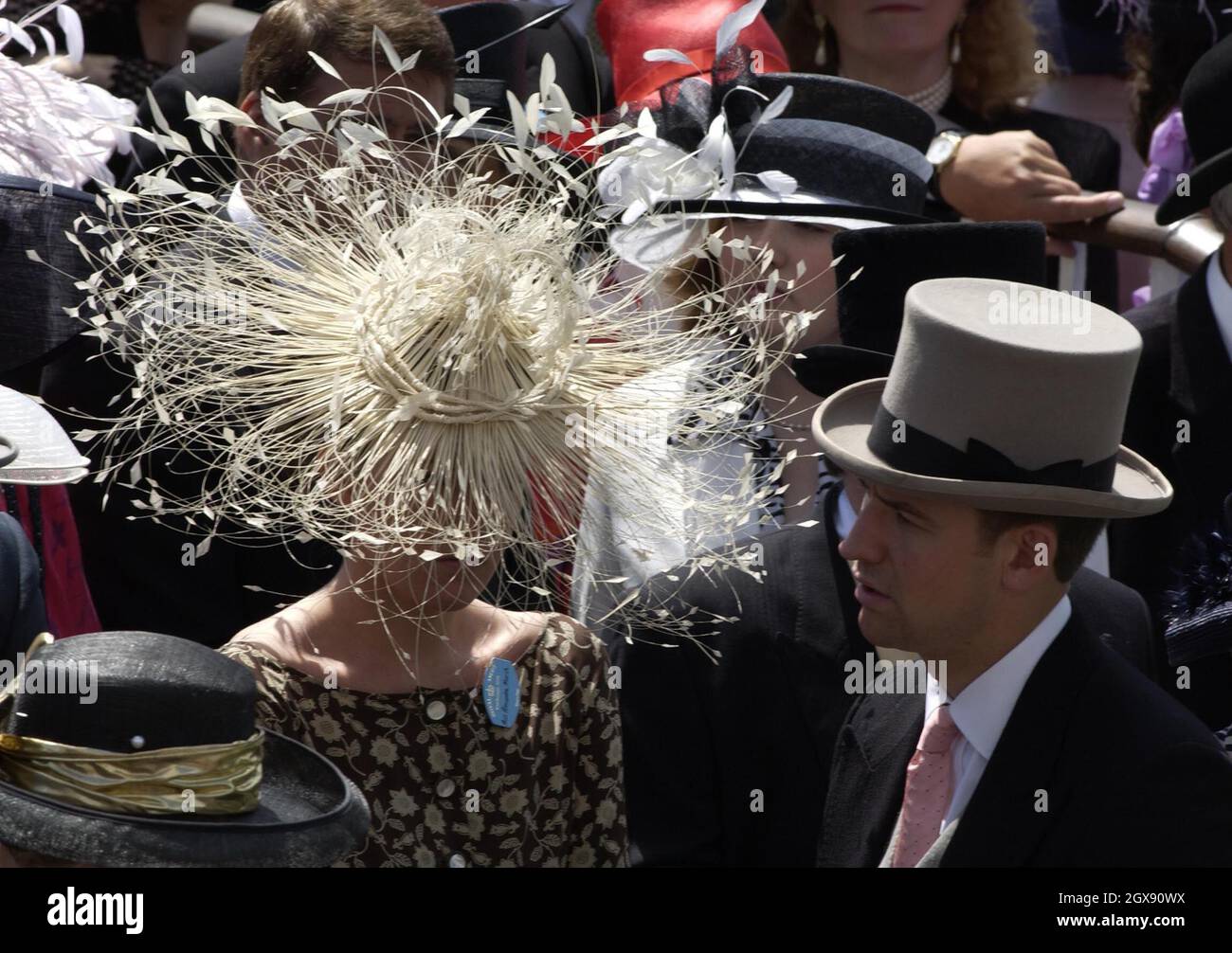 A racegoer wearing a hat festooned with feathers on the opening day of ...