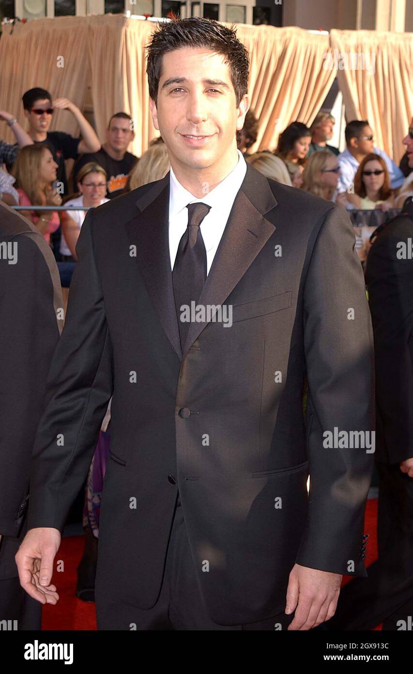 David Schwimmer at the SAG Awards in Los Angeles, CA on 3/10/02 Photo ...