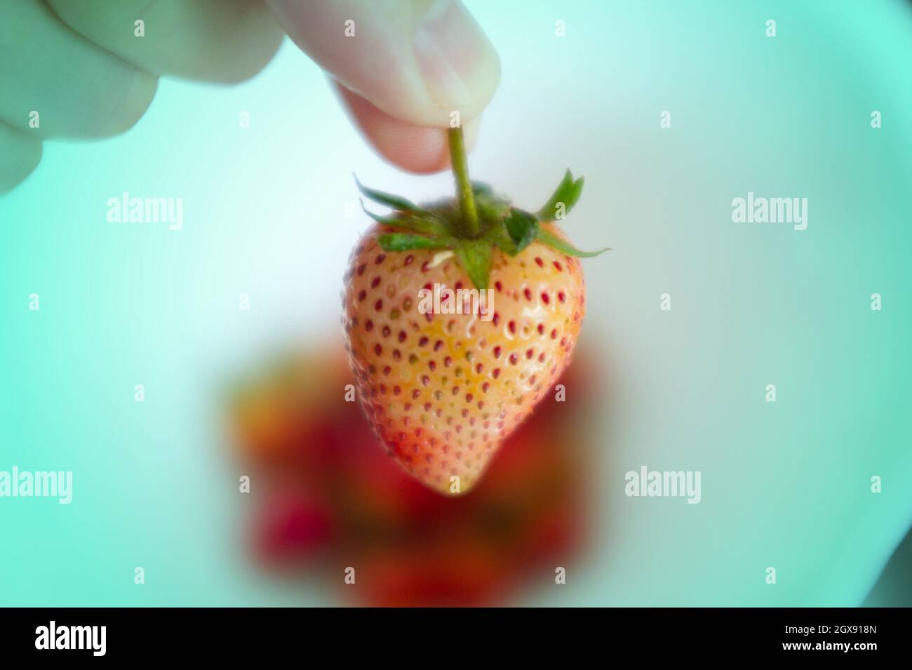 Hand holding strawberry on green background Stock Photo - Alamy