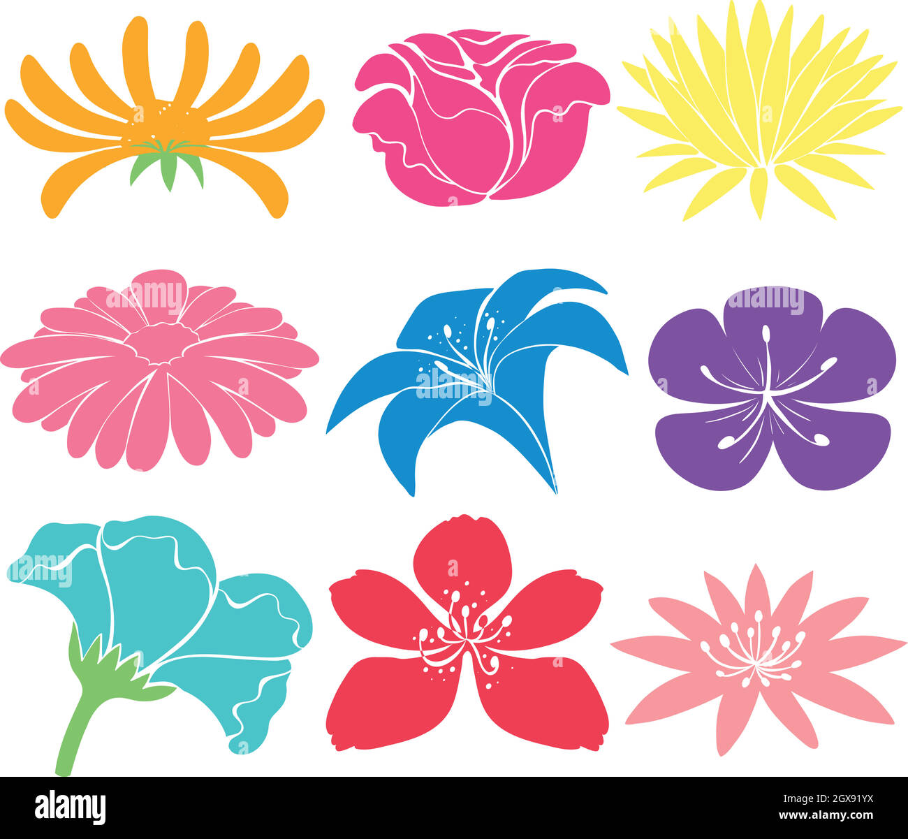 Colourful floral designs Stock Vector Image & Art - Alamy
