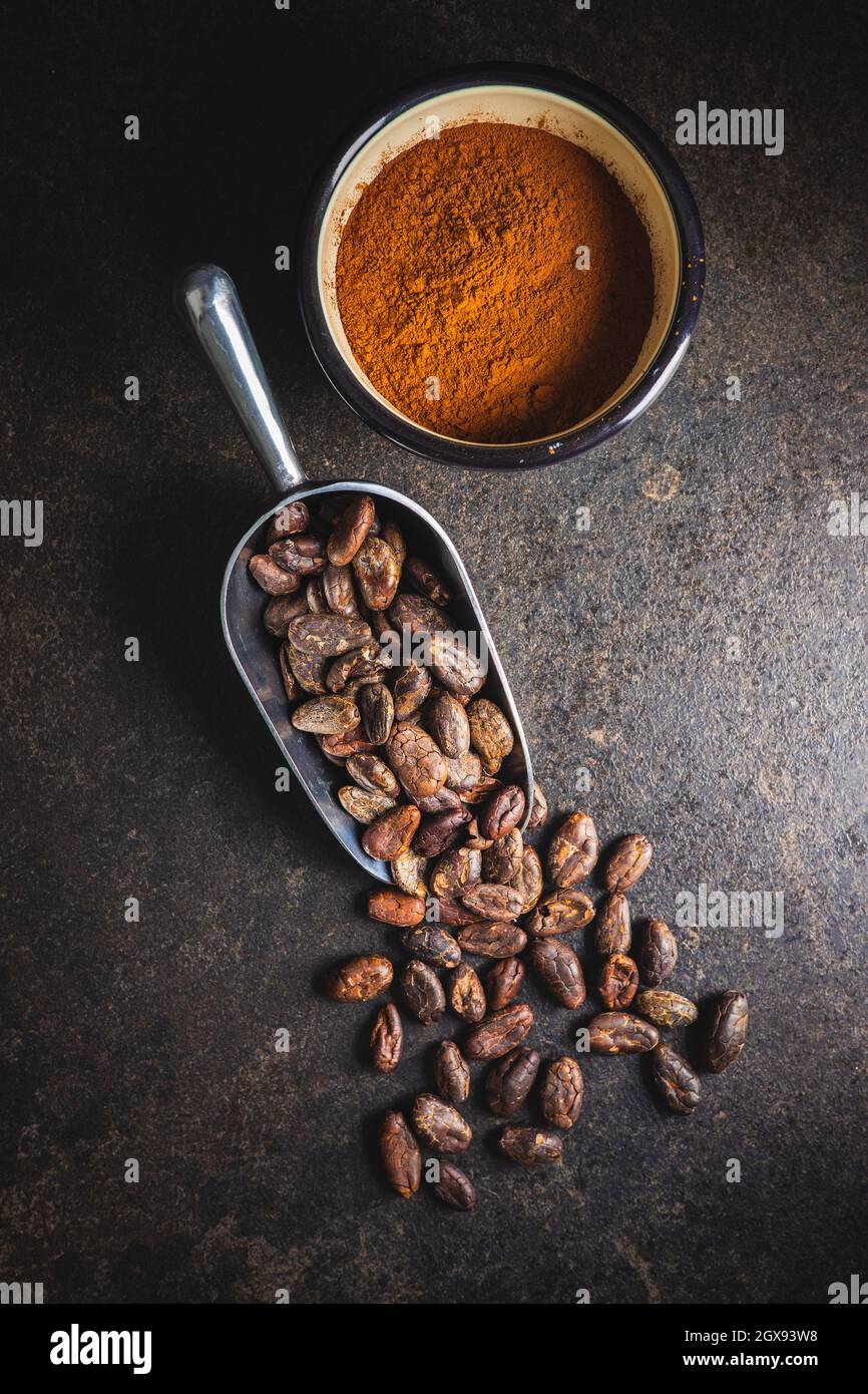 Cocoa powder and cocoa beans in scoop on black table. Top view Stock ...
