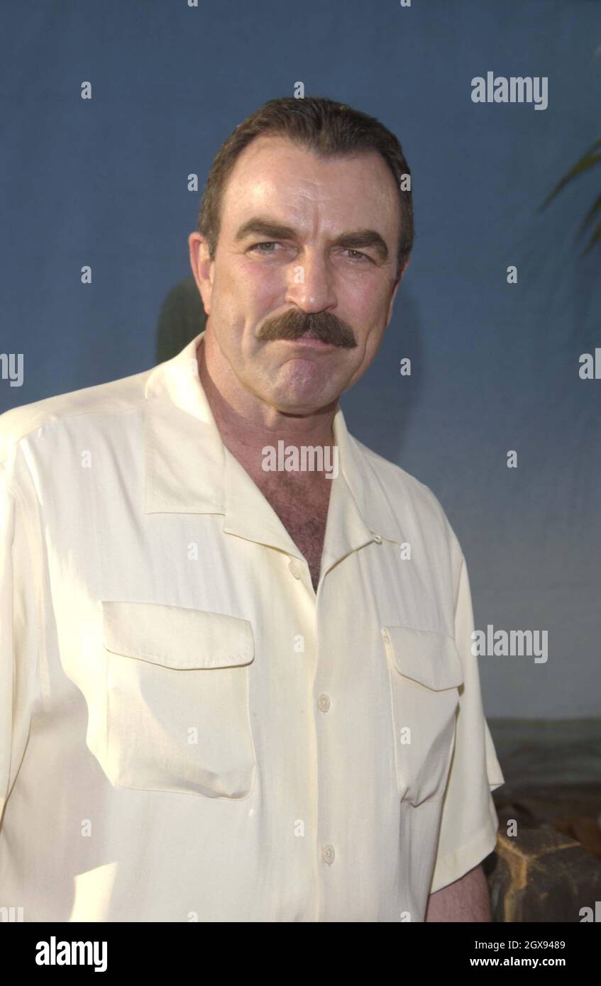Tom Selleck New Movie