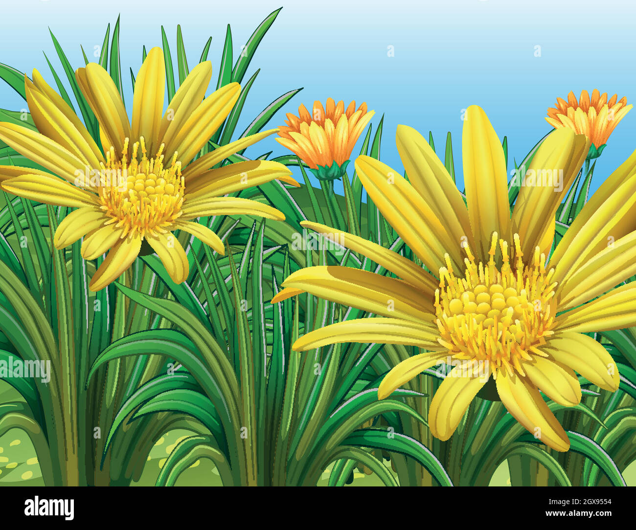 Flowers plants yellow flower Stock Vector Images - Alamy