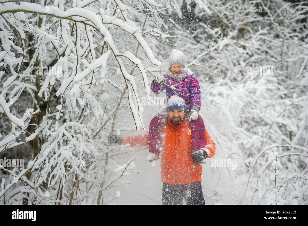 Family dad and daughter walk in the snow-covered forest in winter Stock ...