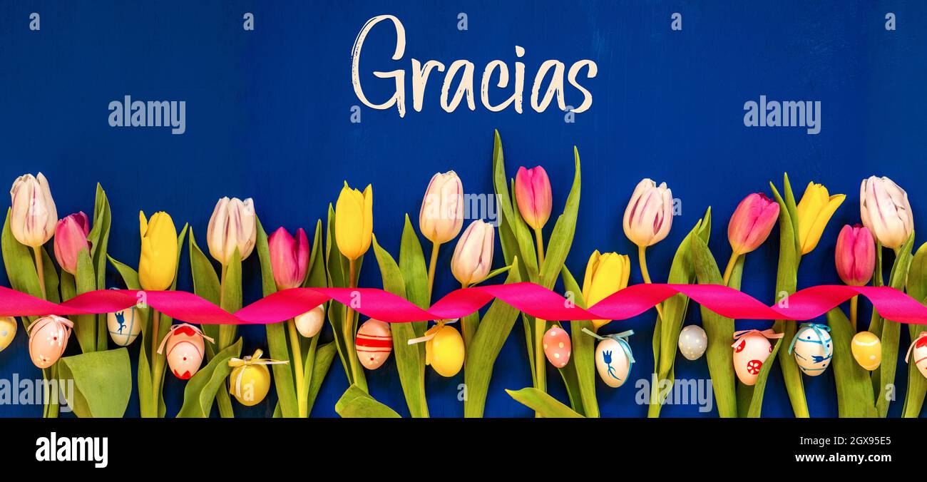 Spanish Text Gracias Means Thank You. Banner Of White And Pink Tulip ...