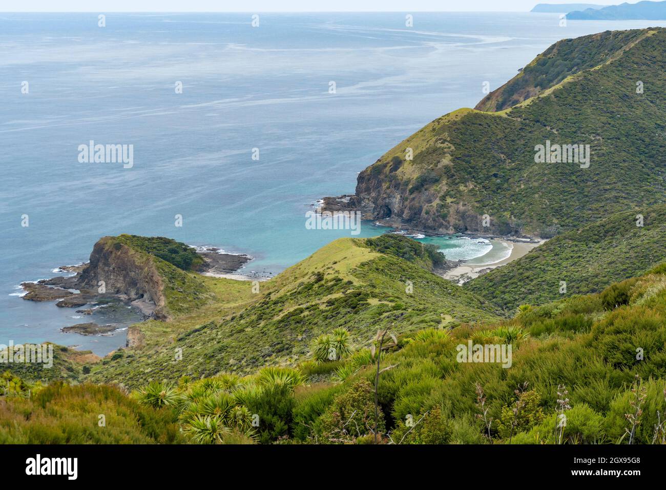 Coastal scenery around Cape Reinga at the North Island in New Zealand ...