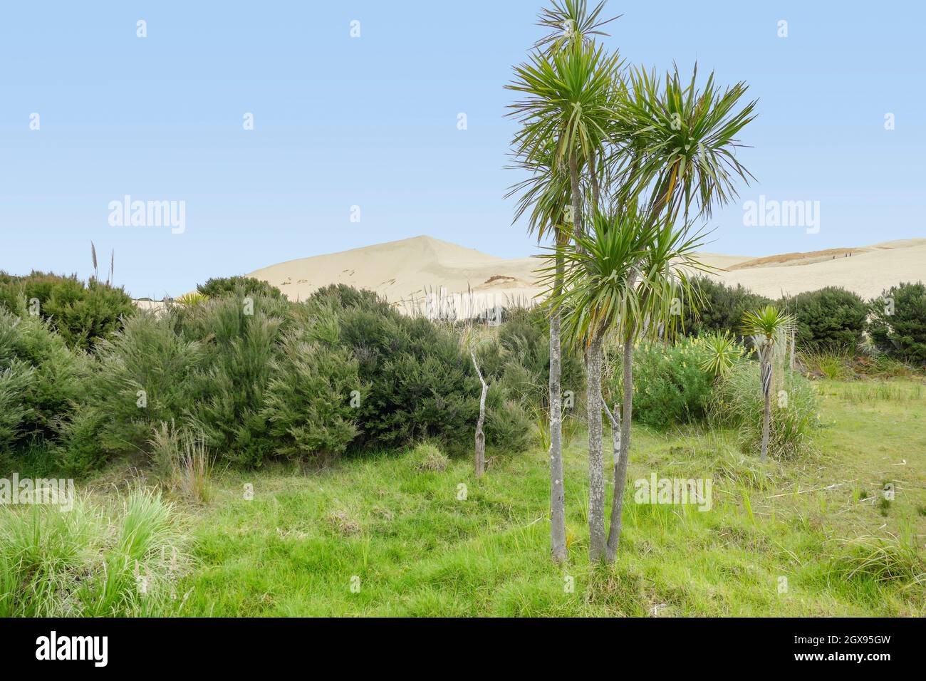 Aupori hi-res stock photography and images - Alamy