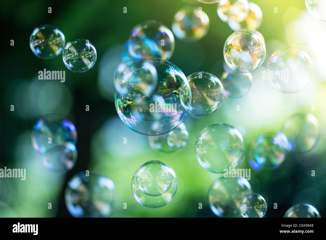 Colorful soap bubbles outdoors, summer time, fun Stock Photo - Alamy
