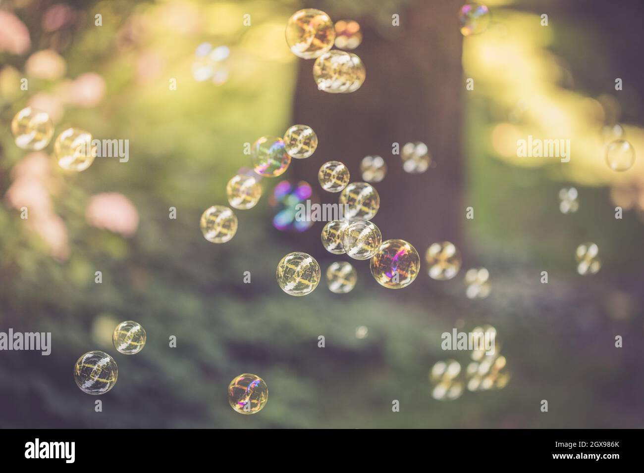 Many soap bubbles flying outdoors hi-res stock photography and images ...