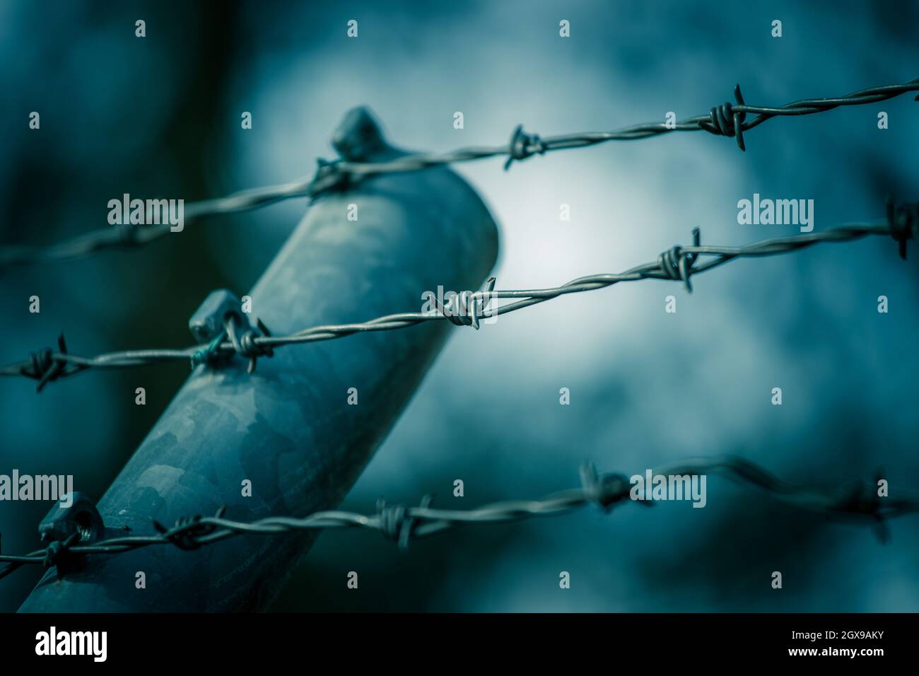 Barbed wire on a metal fence to demarcate the border, closeup, blurry ...