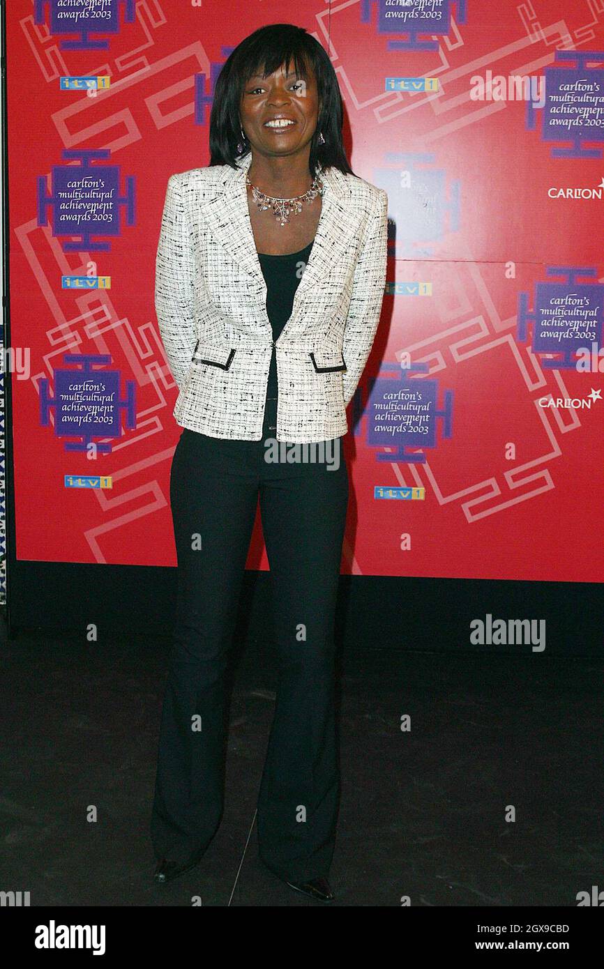 Ronke Phillips at The Carlton's Multicultural Achievement Awards 2003 ...