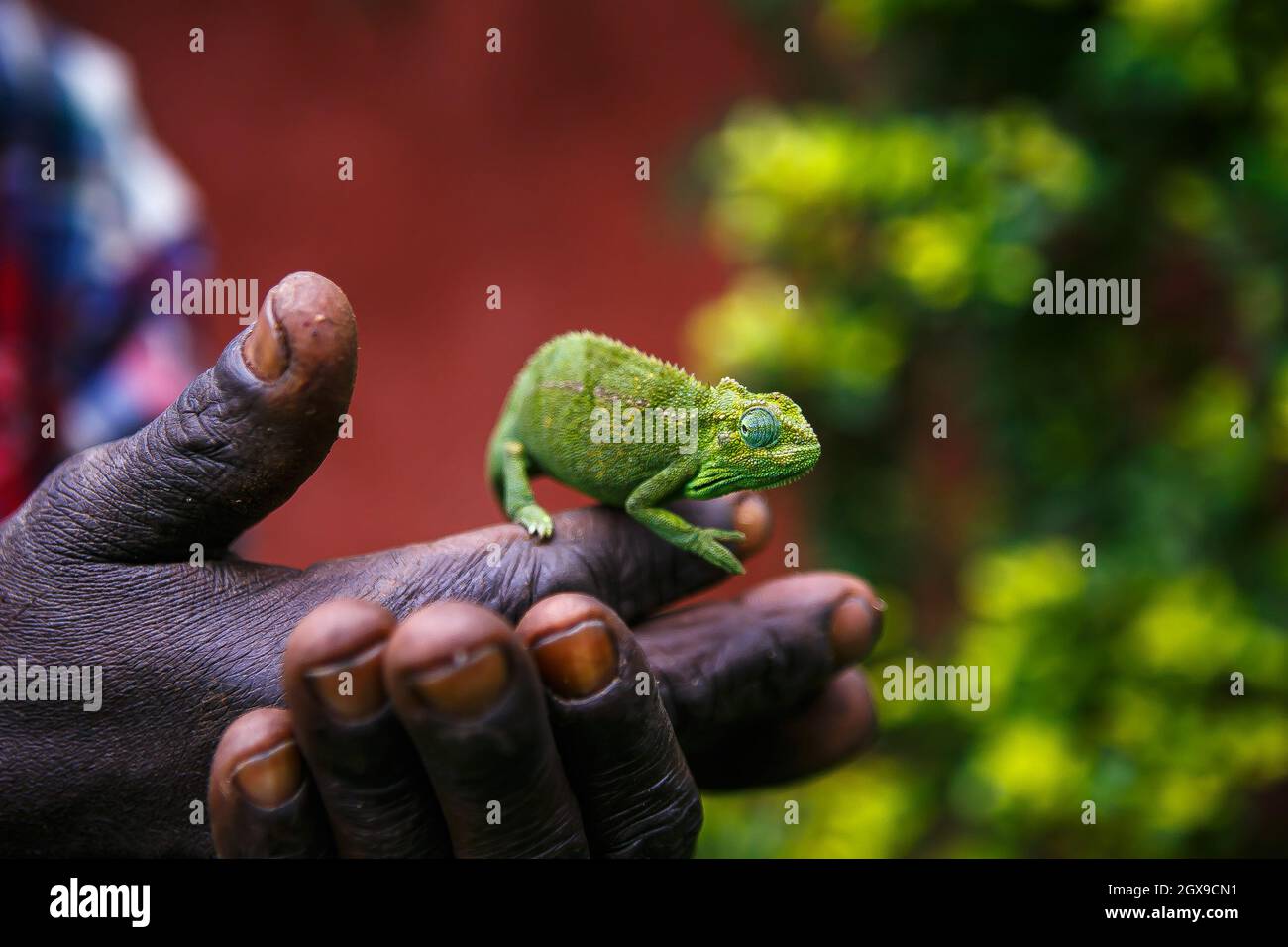 Hand groove hi-res stock photography and images - Alamy
