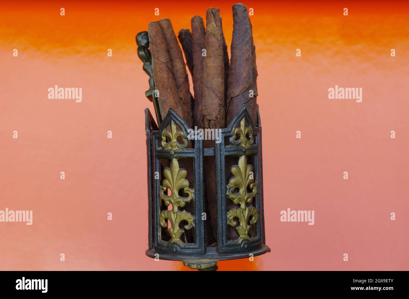 Antique cigar case with old Tuscan cigars, dried whole leaf tobacco ...