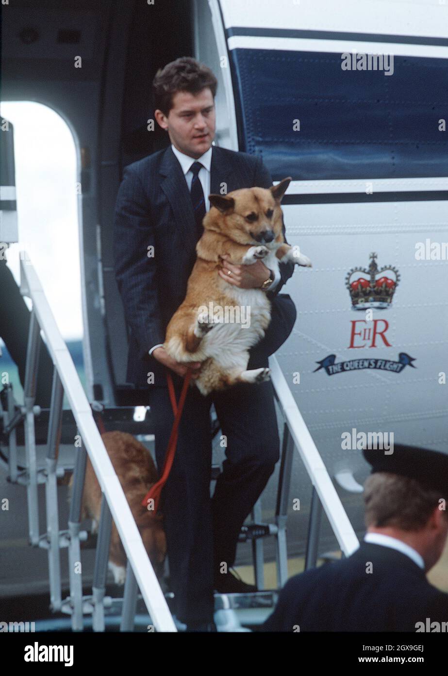 Royal butler corgi hi-res stock photography and images - Alamy