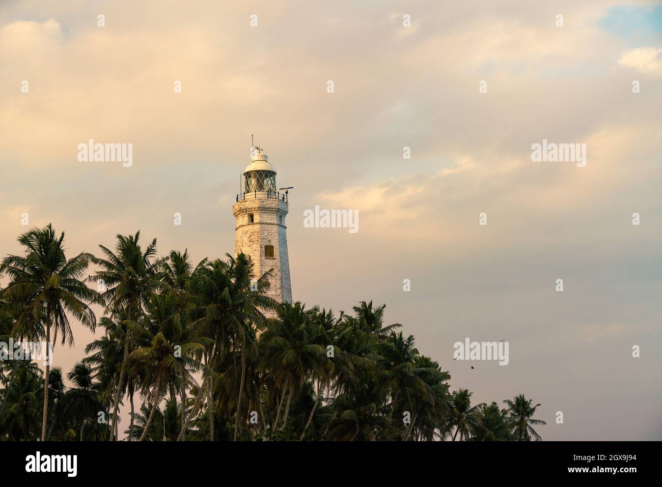 White lighthouse Dondra Head and tropical palms at sunset, Sri Lanka ...