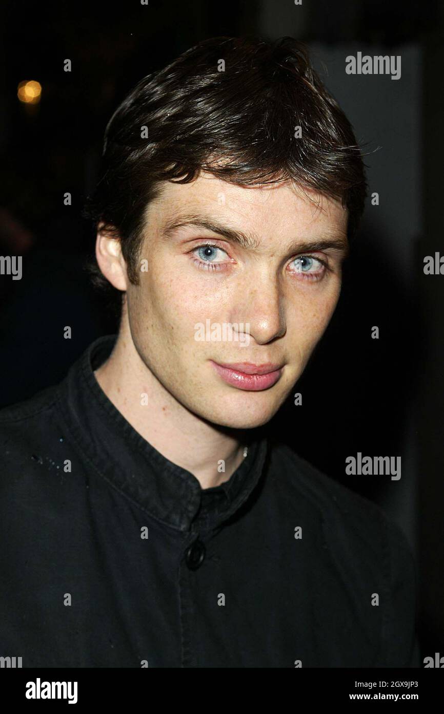 Cillian Murphy at the film premiere of 'Intermission' in Notting Hill ...