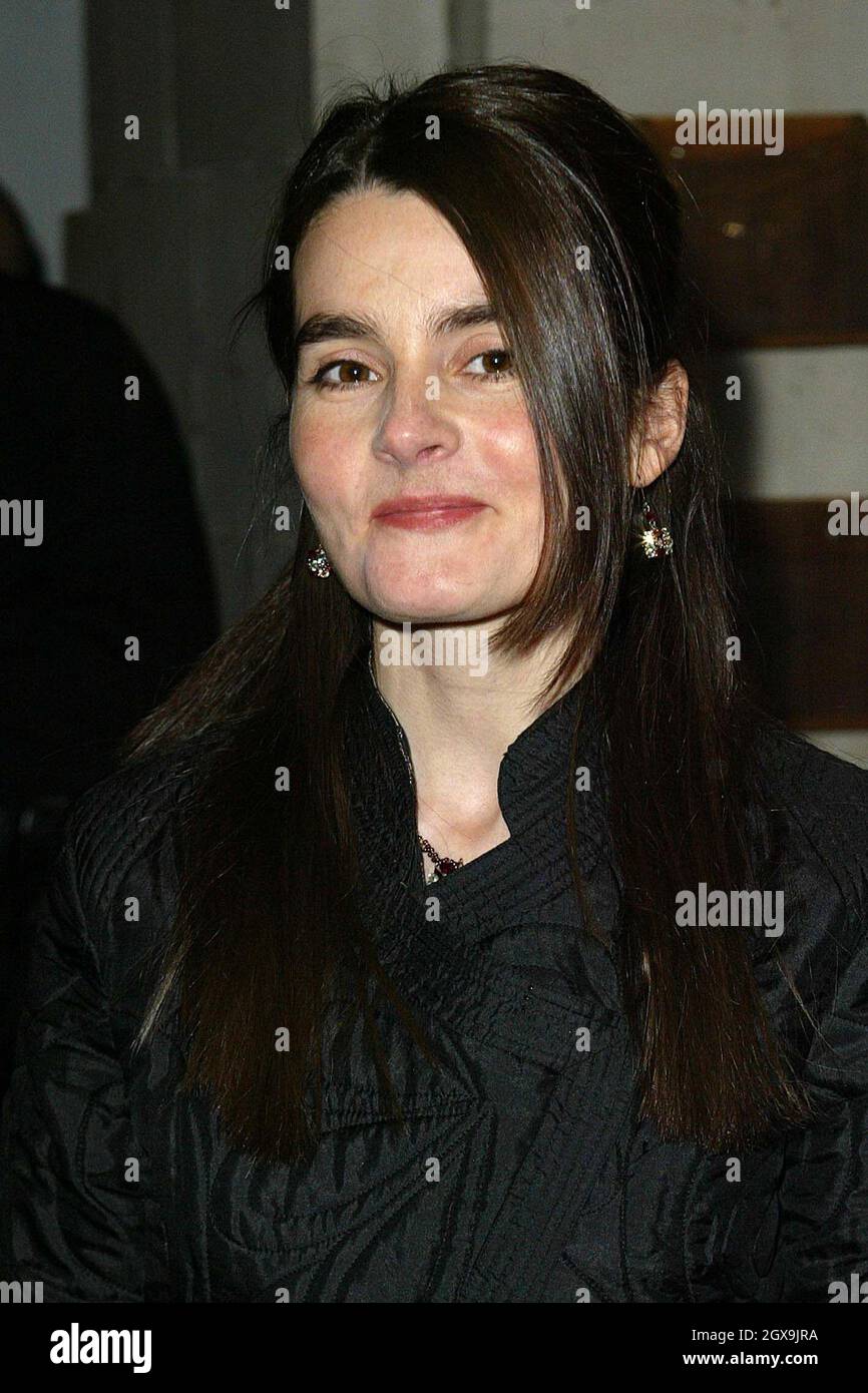 Shirley Henderson at the film premiere of 'Intermission' in Notting ...
