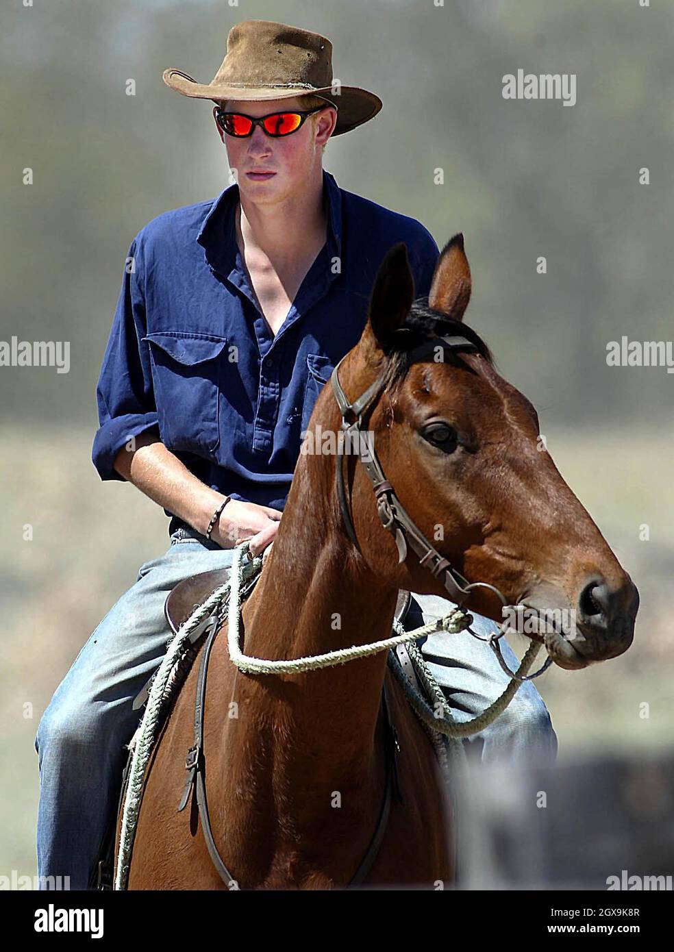 Tooloombilla hi-res stock photography and images - Alamy