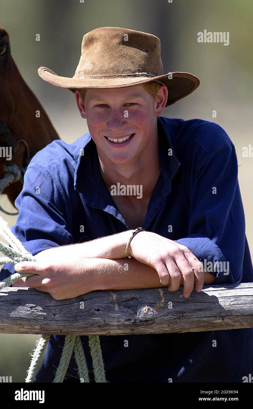 Prince Harry riding his horse Guardsman with the team mustering herd ...
