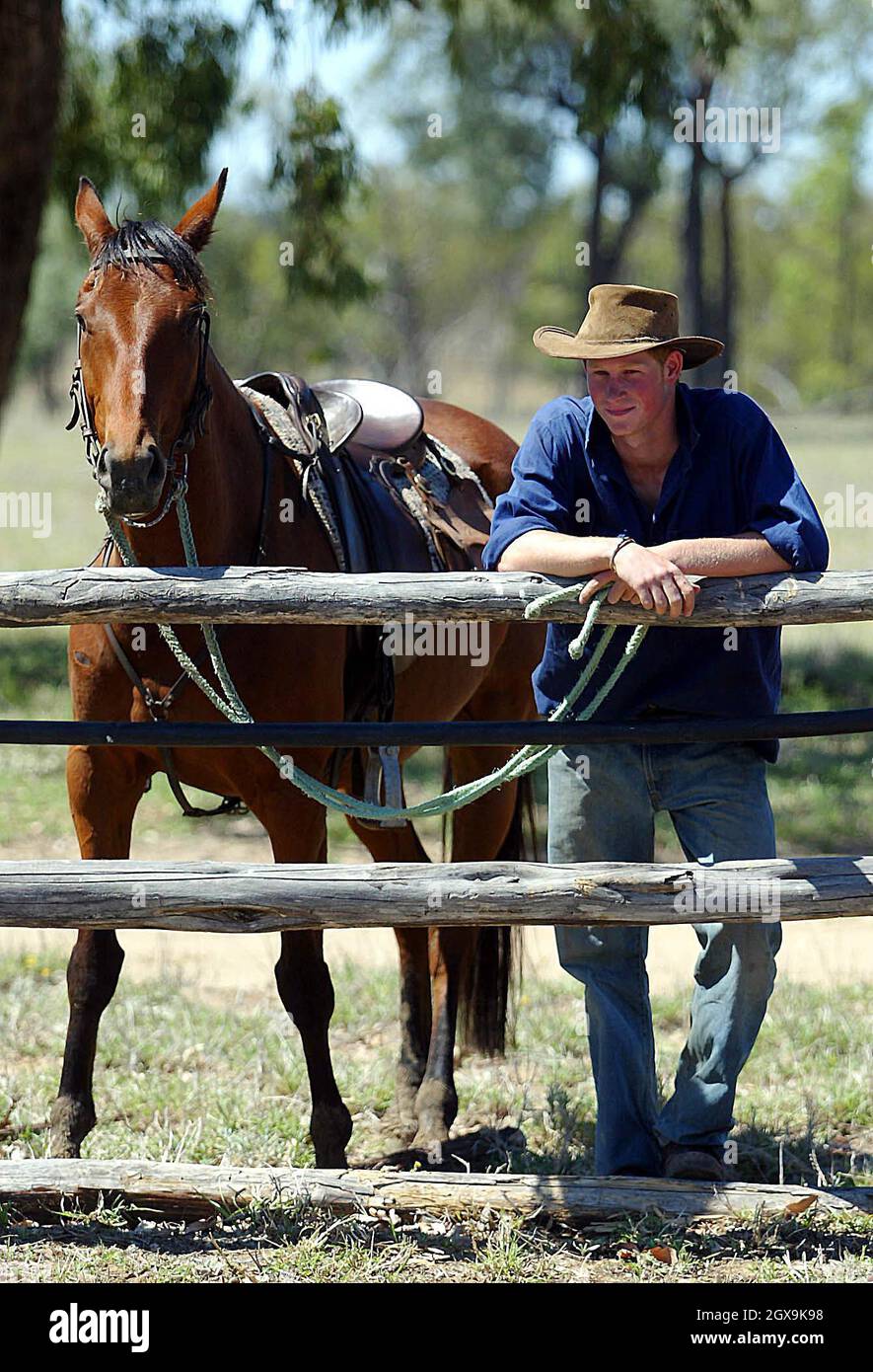 Prince Harry riding his horse Guardsman with the team mustering herd ...