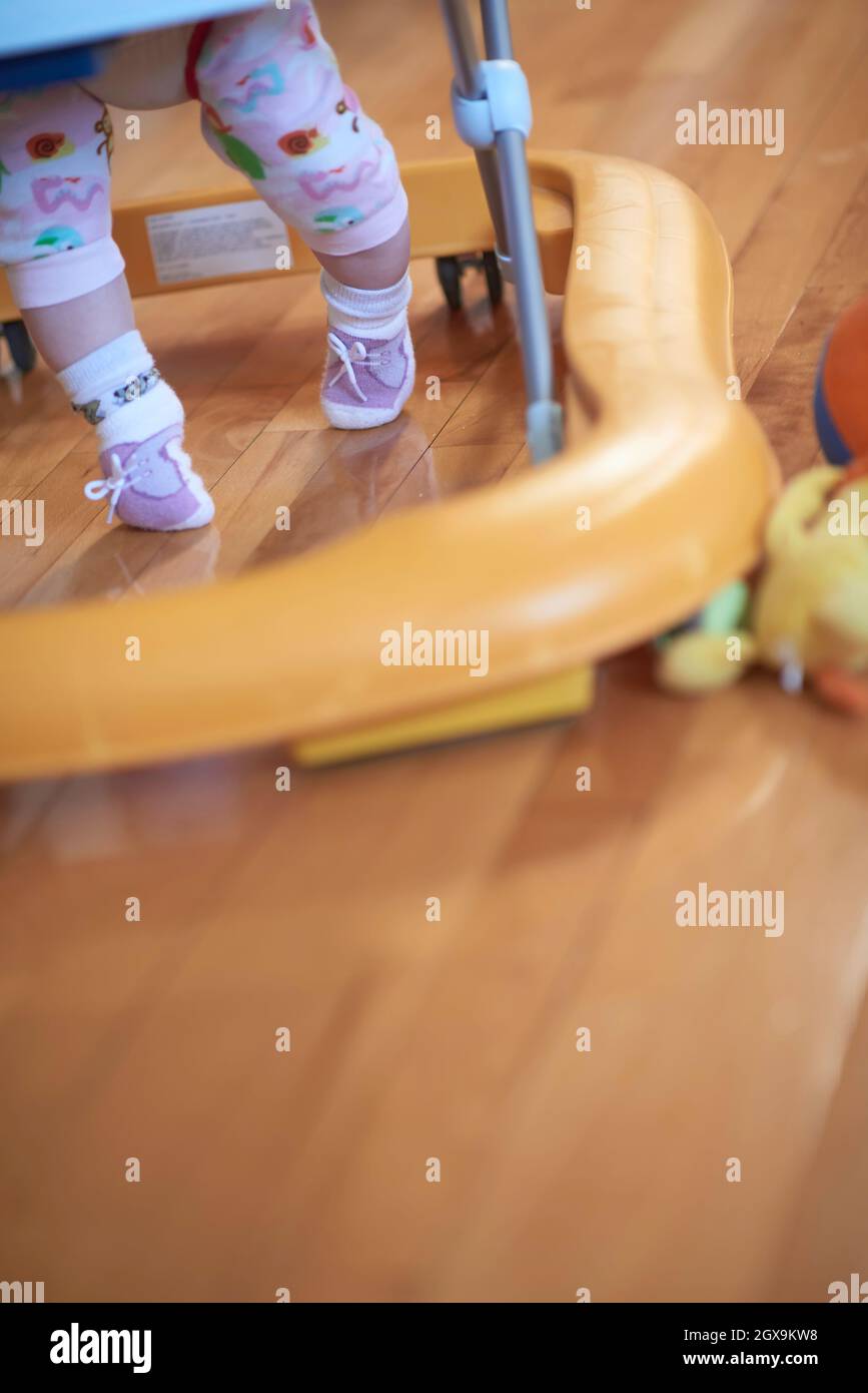 cute little baby learning to walk in walker at home Stock Photo - Alamy