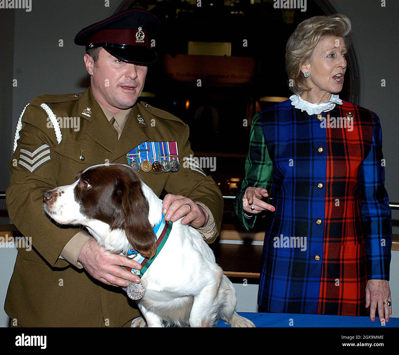 Princess Alexandra presented British Army dog Buster with the 'animals ...
