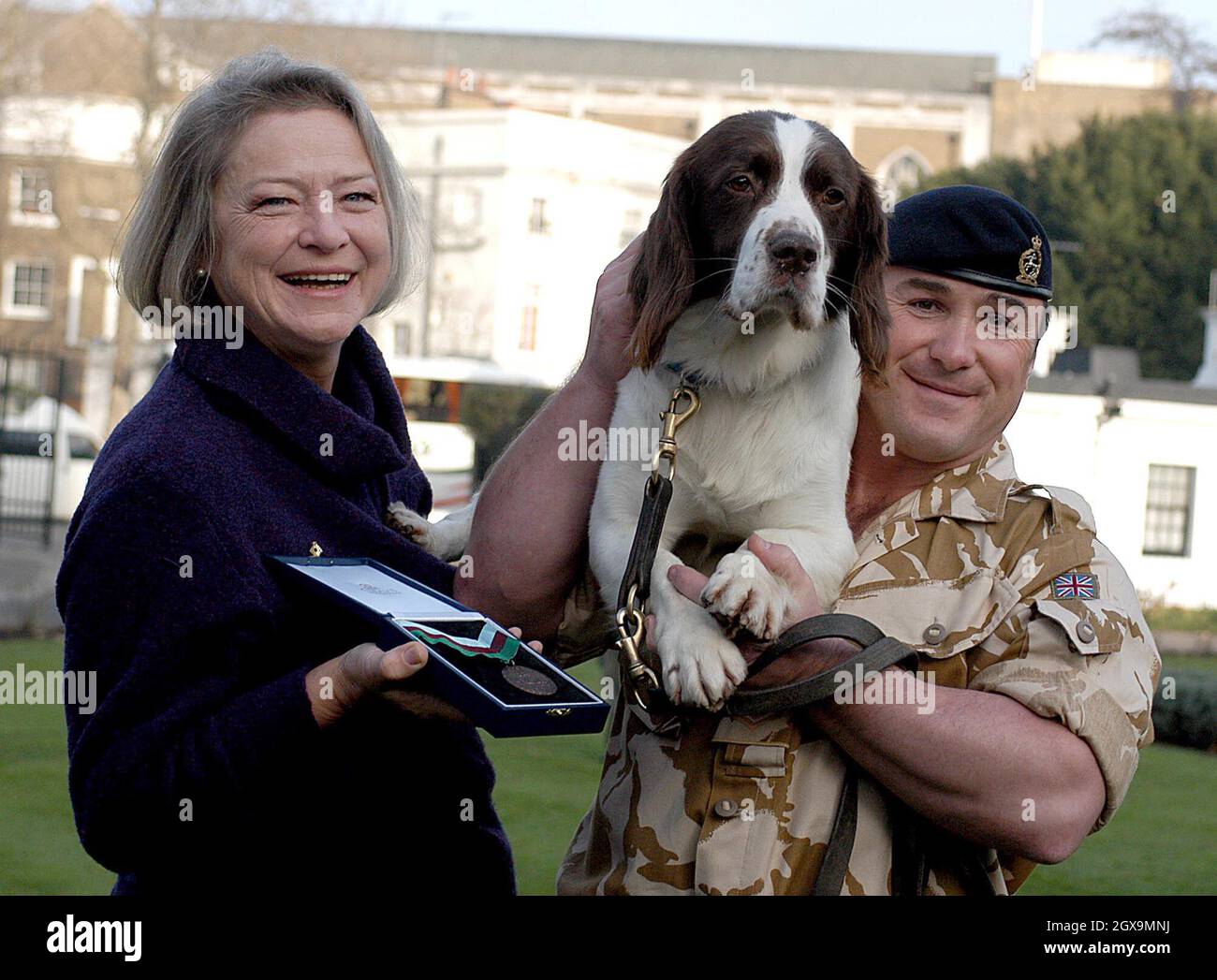 Buster a five-ear-old springer spaniel, with his handler Sergeant Danny ...