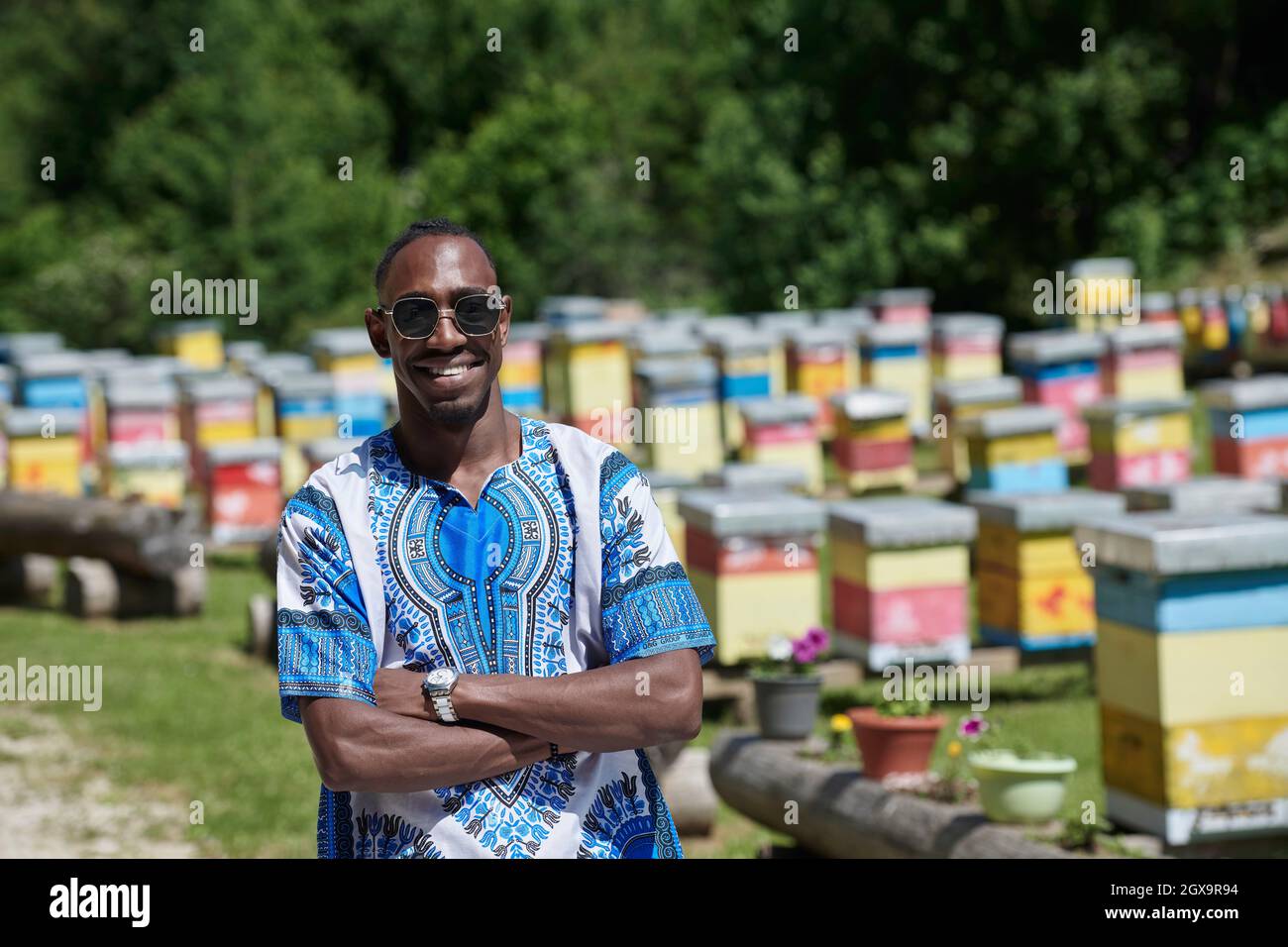 African honey beehive hi-res stock photography and images - Alamy